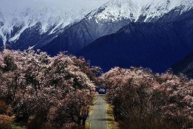 Lhasa Private Arrival Transfer: Railway Station to Hotel - The Practicalities of Arriving in Lhasa