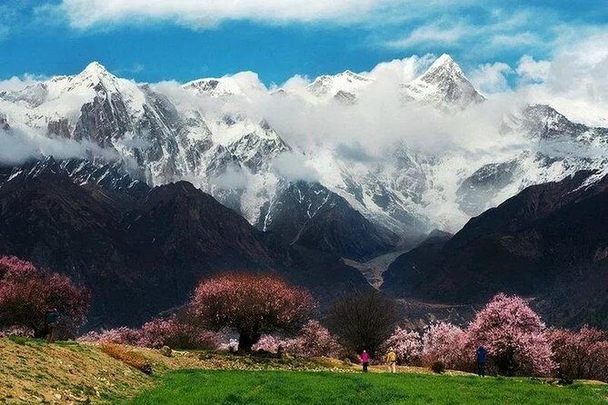 Lhasa Private Arrival Transfer: Railway Station to Hotel - Final Thoughts: Who Is This Transfer Best For?