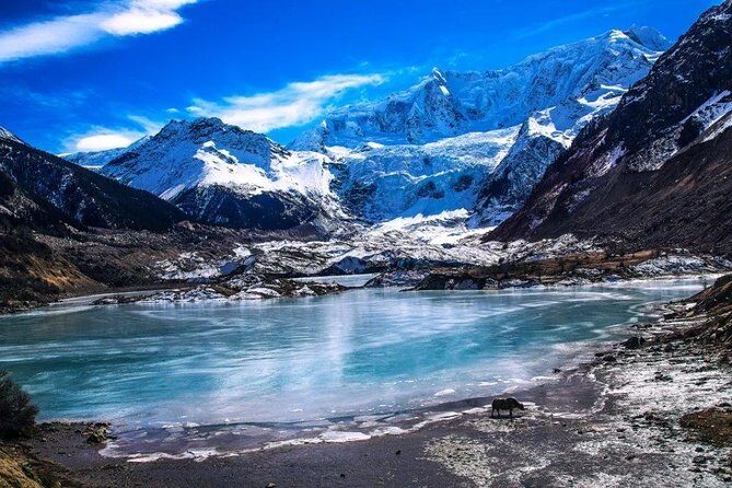 Lhasa Private Departure Transfer: Hotel to Railway Station - Real Traveler Insights and Practical Tips