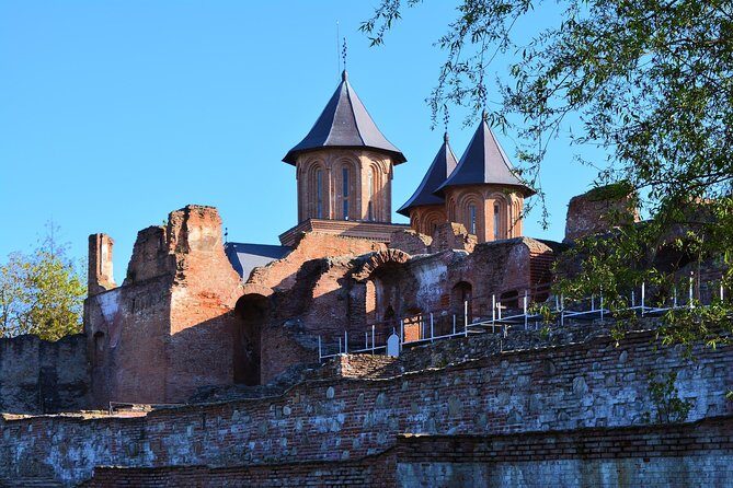 LiBEARty Brown Bear Sanctuary and The Real Dracula Tour - The Sum Up: Is This Tour Worth Your Time?