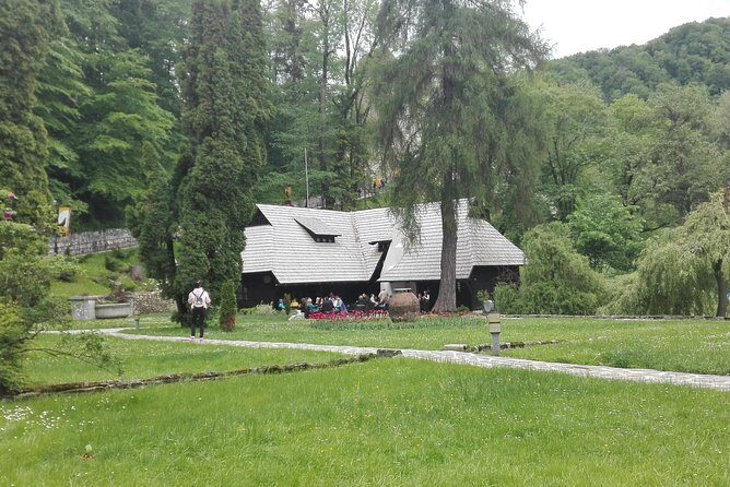 LiBEARty - the Brown Bear Sanctuary from Zarnesti - Who Is This Tour Best Suited For?