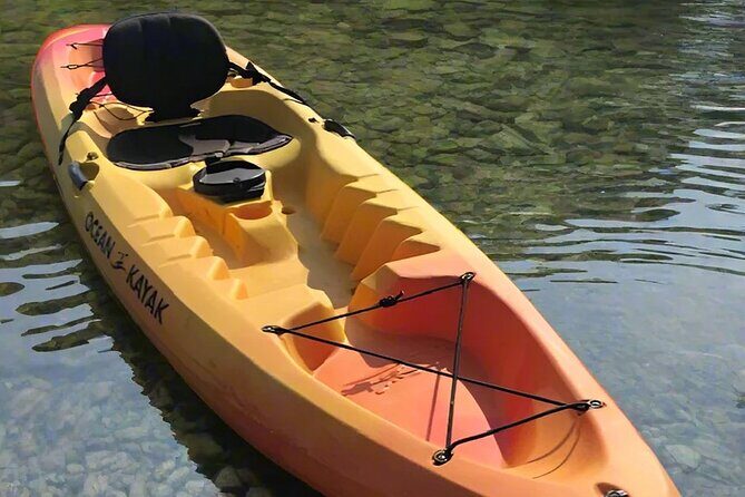 Liberty Bay Wildlife Kayaking - Key Points