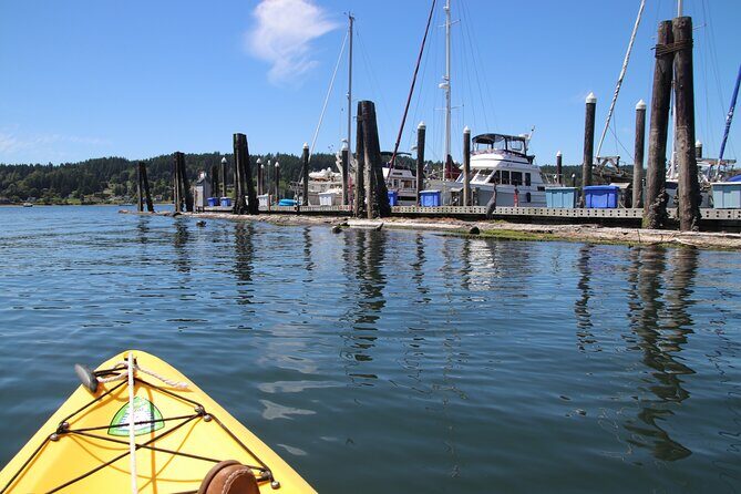 Liberty Bay Wildlife Kayaking - Practical Details that Matter
