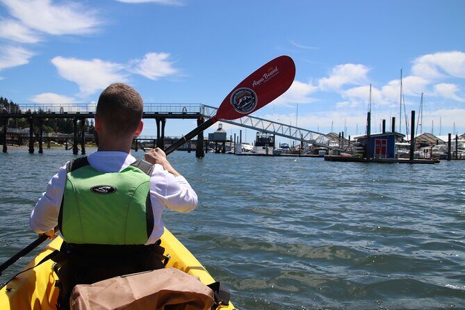 Liberty Bay Wildlife Kayaking - FAQ