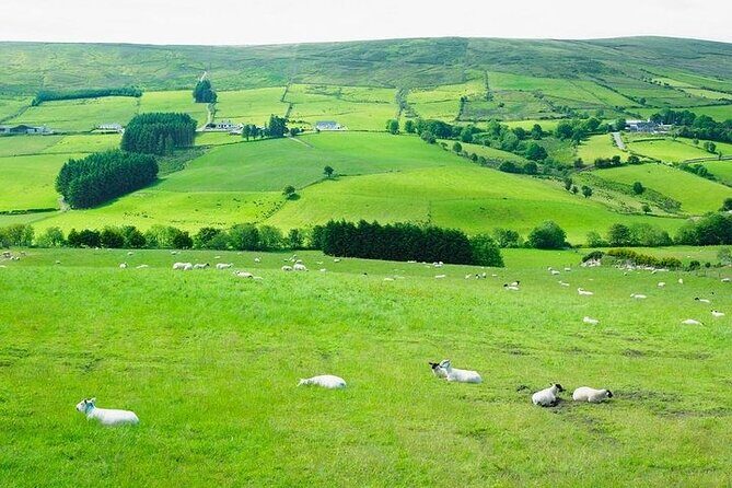 Liberty Irish Tours Dublin City & Wicklow Mountains Luxury Car Shore Excursion - Authentic Experiences & What Travelers Say