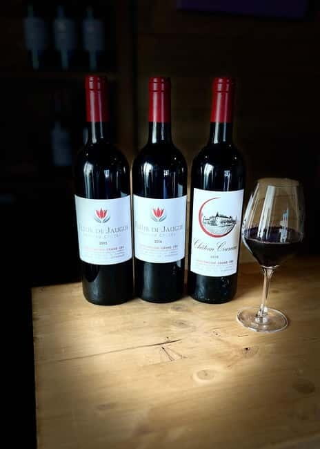 Libourne: Winery Tour with Wine and Chocolate Tasting - Price and Value