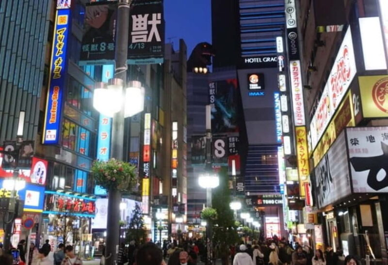 Licensed Guide Shinjuku Dramatic Tour - Exploring the Tokyo Nightlife: What You Can Expect