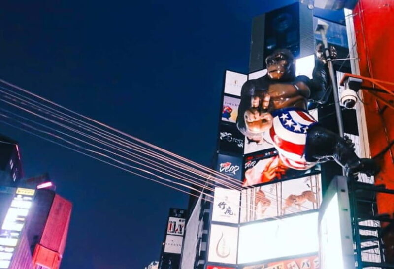 Licensed Guide Shinjuku Dramatic Tour - Authentic Perspectives and What Travelers Say