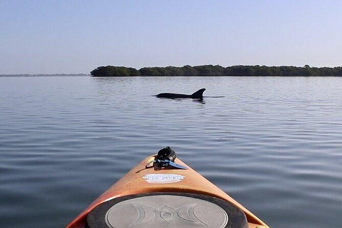 Lido Key Pedal Kayak Tour in Sarasota - Frequently Asked Questions