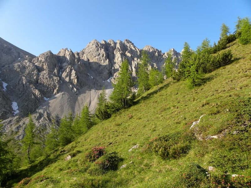 Lienz: Private Guided City Tour - Price and Value