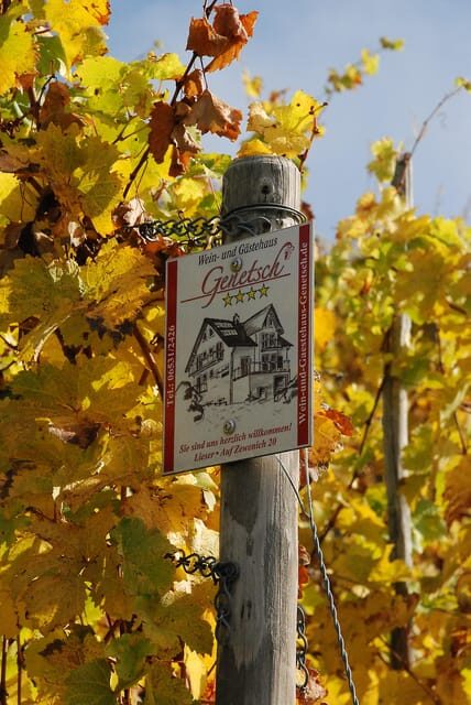 Lieser: covered wagon ride, the rolling wine tasting with picnic basket - The Picnic: A Regional Delight