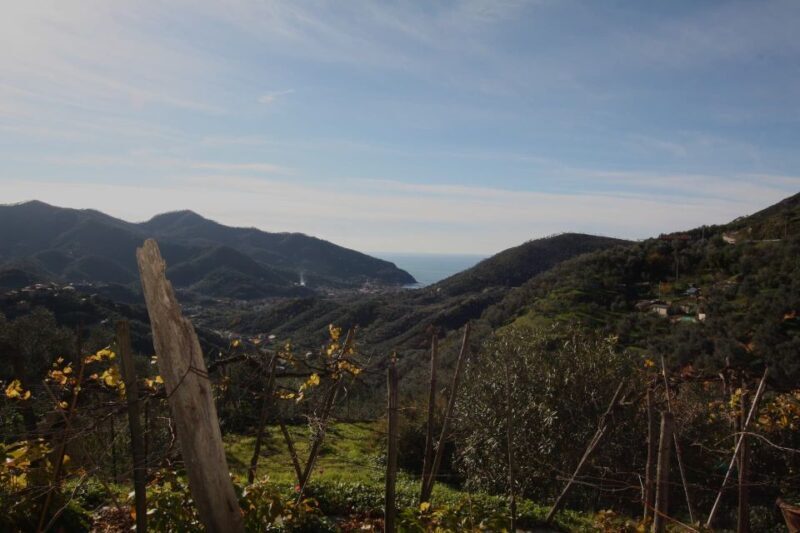 Lievàntu Wine Experience: Tour & tasting in Levanto Valley - FAQs