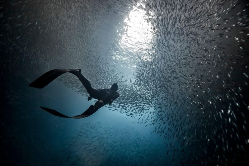 Ligaria Beach: Discover Free Diving (Apnea) - Key Points