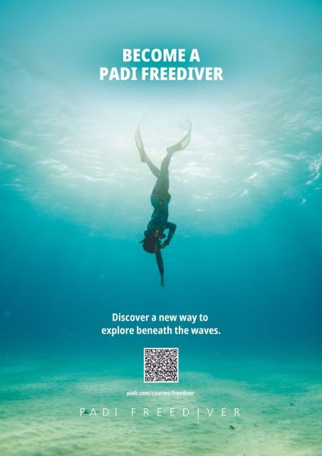 Ligaria Beach: Discover Free Diving (Apnea) - Final Thoughts