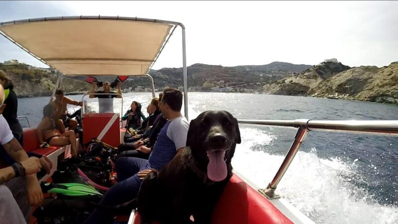 Ligaria: Snorkeling trip with Motor Boat around Agia Pelagia - Key Points