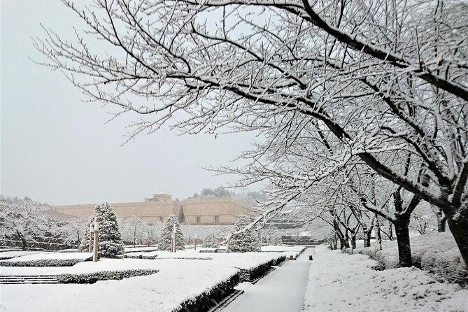 Light Museum - Who Will Love This Tour?