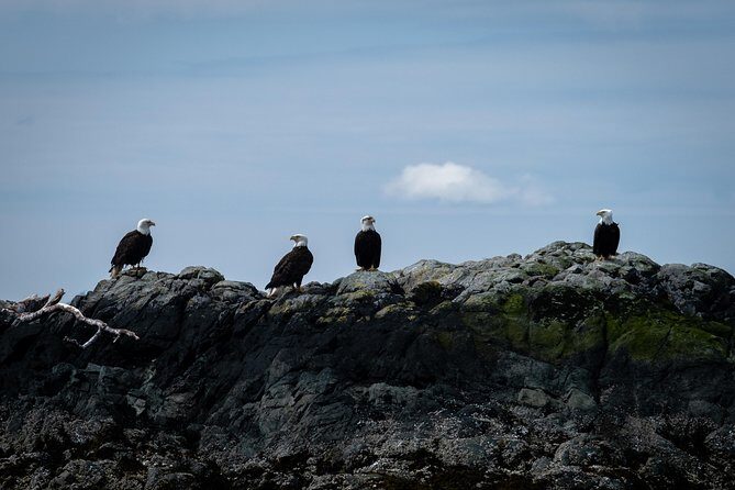 Lighthouse, Totems & Eagles Excursion - Final Thoughts: Is It Worth It?