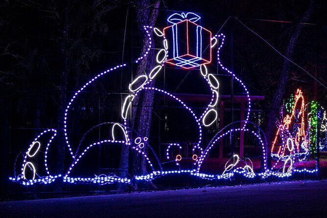 LIghts of Joy Christmas Light Drive-Thru - Areas for Improvement