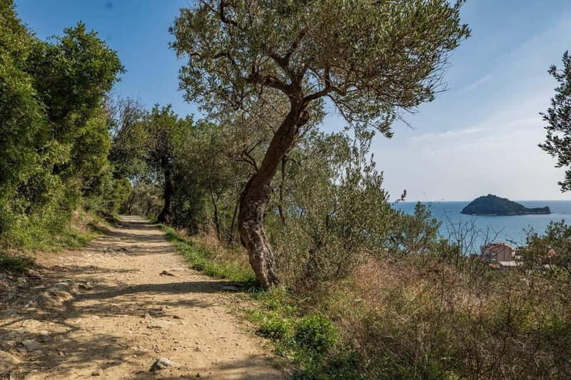 Liguria: tour of Alassio and Laigueglia in bloom - Key Points