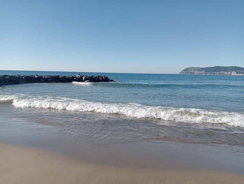 Liguria: tour of Alassio and Laigueglia in bloom - An In-Depth Look at the Tour Experience