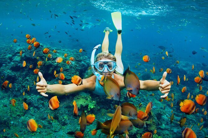Lihaga Island (white sand island) swimming twice, including lunch and tickets - Key Points
