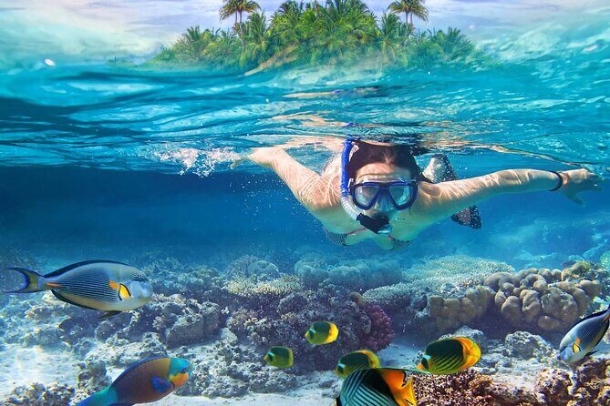 Lihaga Island (white sand island) swimming twice, including lunch and tickets - How the Tour Adds Up in Value
