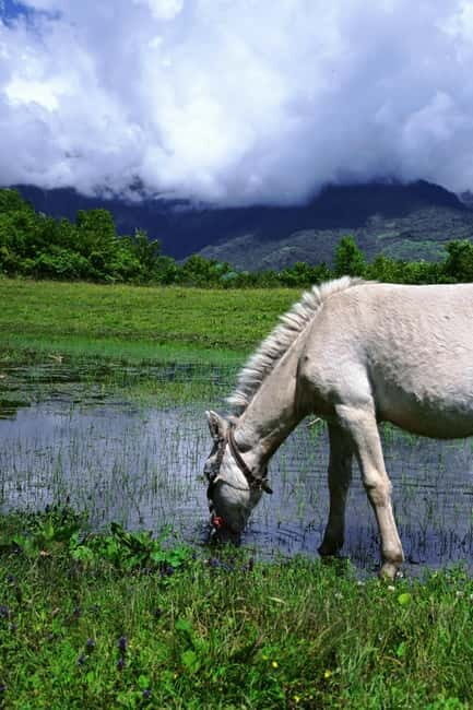 Lijiang: Yulong Snow Mountain, Blue Moon Valley & Show - FAQ