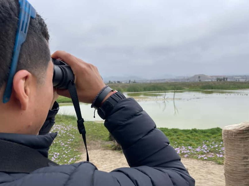 Lima: guided tour of a nature reserve on the Rimac River - Key Points