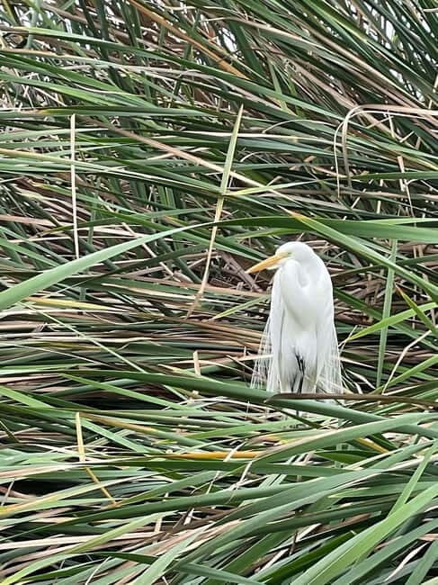 Lima: guided tour of a nature reserve on the Rimac River - How Does the Tour Work in Practice?
