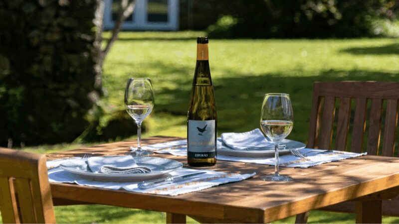 Lima Valley Tour with Wine Tasting and Local Gastronomy - Who Will Love This Tour?