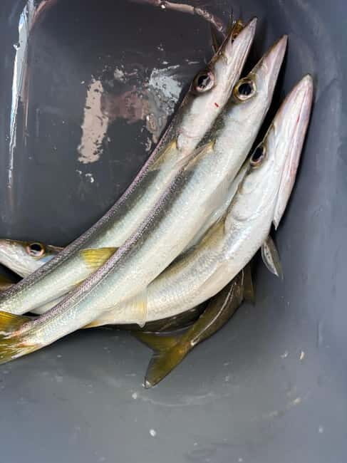 Limassol: Swimming trip with trolling or bottom fishing - An Honest Look at the Experience