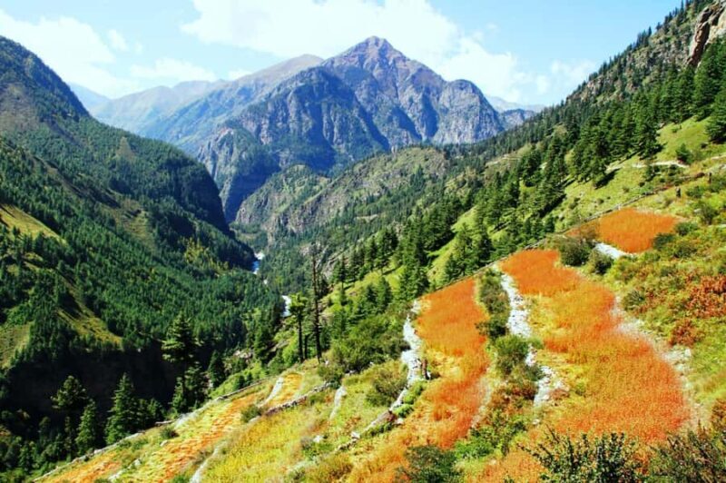 Limi Valley Trek - 10 Day - Authentic Experiences and Real Traveler Insights