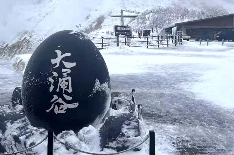 Limited: Mt. Fuji&Hakone, FREE Pirate Ship&Owakudani Ropeway - The Value Proposition