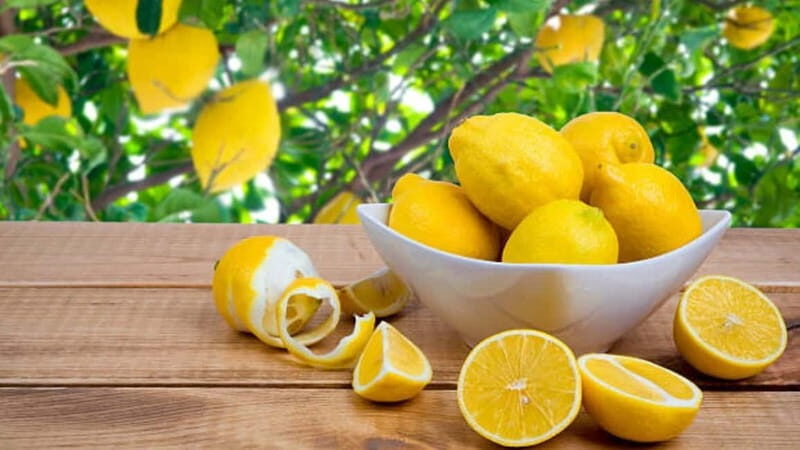Limoncello Making Class in a Roman Artisan Distillery - Key Points