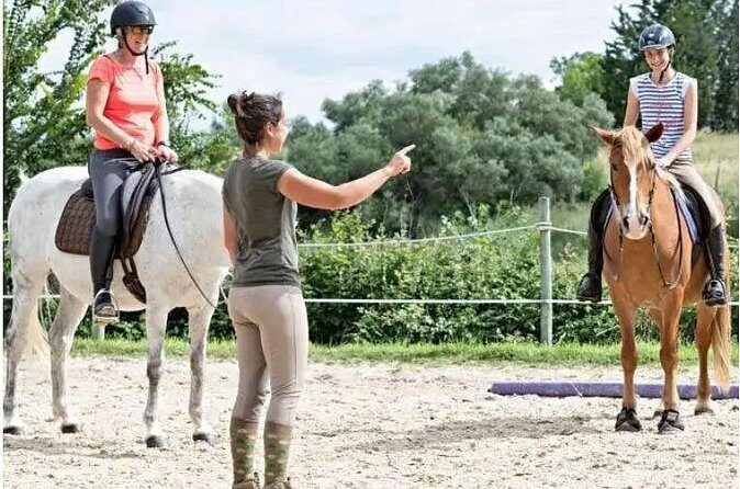 Linda Vista 1 Hour Trail Ride - Authentic Reviews and What Travelers Think