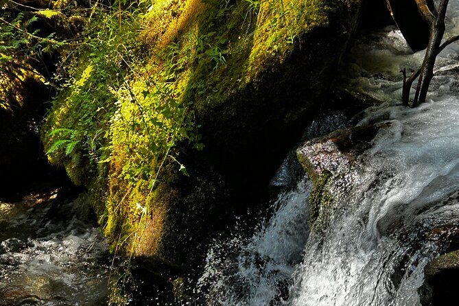 Lindeman and Chilliwack Lakes Sightseeing Tour - What Travelers Say