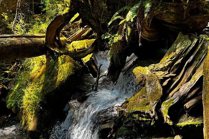 Lindeman and Chilliwack Lakes Sightseeing Tour - What’s Included and Not