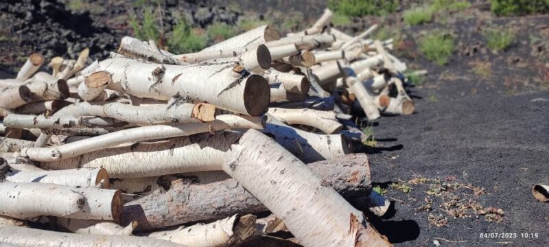 Linguaglossa: North Etna Guided Forest Walking Tour - FAQs