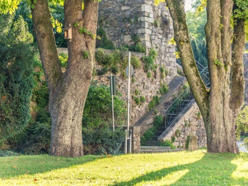 Linz Old Town Highlights Walking Tour with Pöstlingbergbahn - FAQs