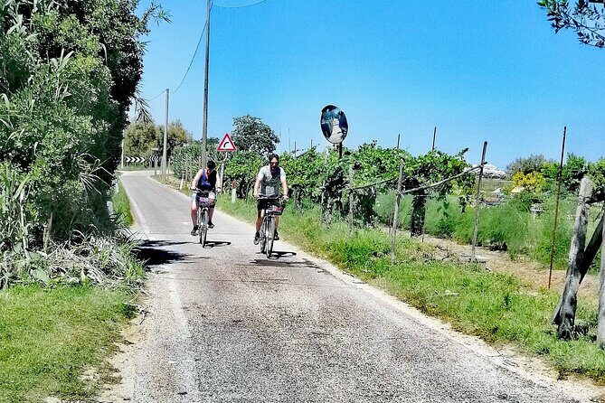 Lio Piccolo: Flamingos & Birdwatching Bike Tour in the Lagoon - Final Thoughts