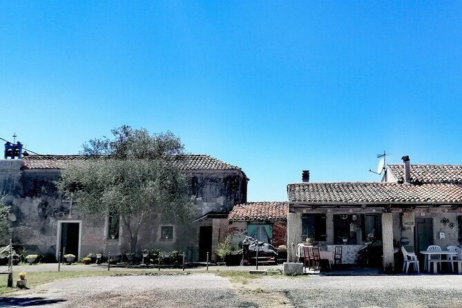 Lio Piccolo: Flamingos & Birdwatching Bike Tour in the Lagoon - FAQs