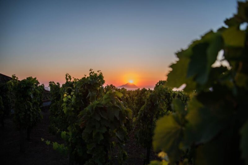 LIPARI WINERY - SUNSET WINE TASTING - FAQ