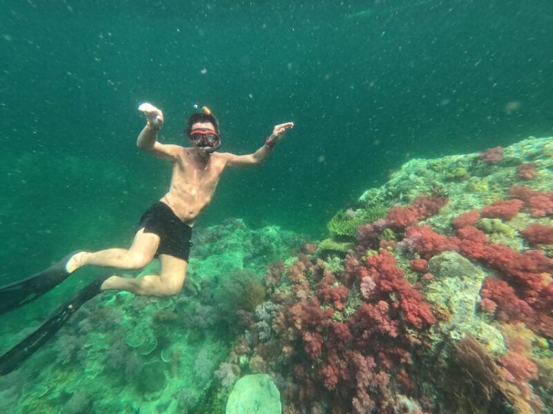 Lipe: Longtail Boat Snorkeling to Outer Islands Program B - A Deep Dive into the Experience
