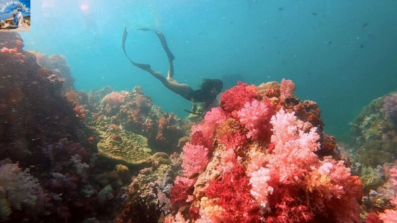 Lipe: Longtail Boat Snorkeling to Outer Islands Program B - The Sum Up: Is It Worth It?