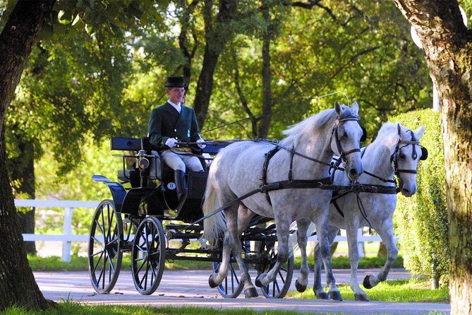 Lipica Stud Farm- Private Experience from Koper - What’s Included and How It Benefits You