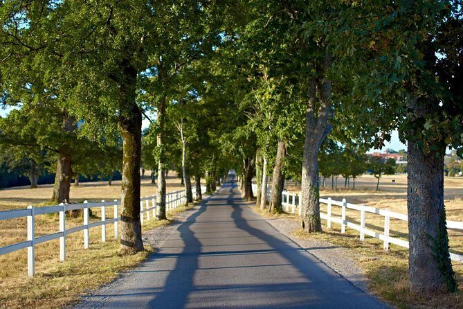 Lipica Stud Farm & Skocjan Caves - Small Group Tour from Trieste - Who Will Love This Tour?
