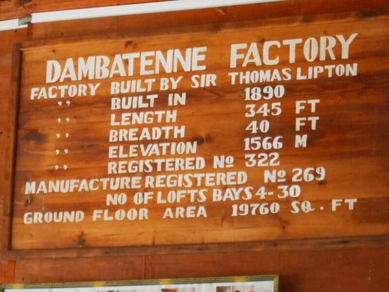 Lipton's Seat, Adisham Bungalow, Dambetenna Tea Factory Tour - An Introduction to the Experience