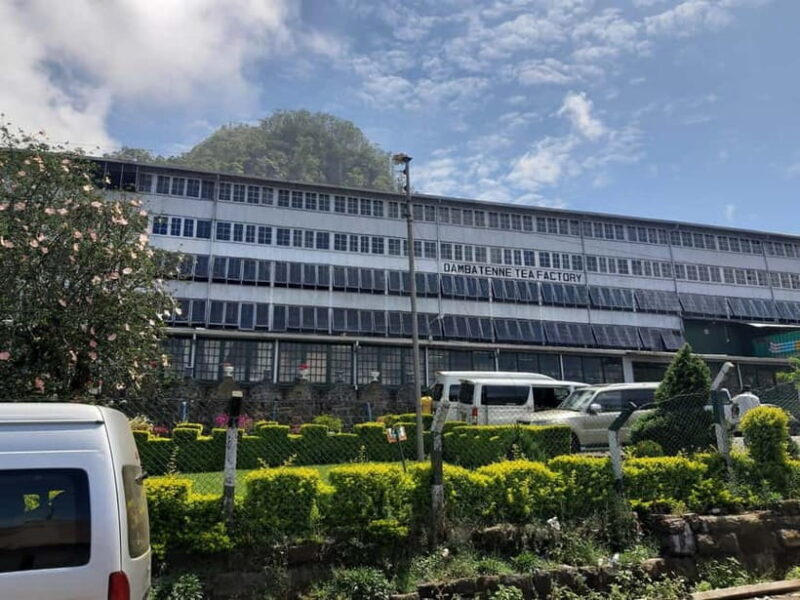 Lipton's Seat, Adisham Bungalow, Dambetenna Tea Factory Tour - Practical Details and Value