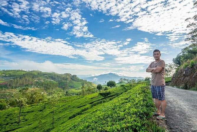 Lipton's Seat and Dambatenna Tea Factory Day Tour From Ella - An In-Depth Look at the Tour Experience