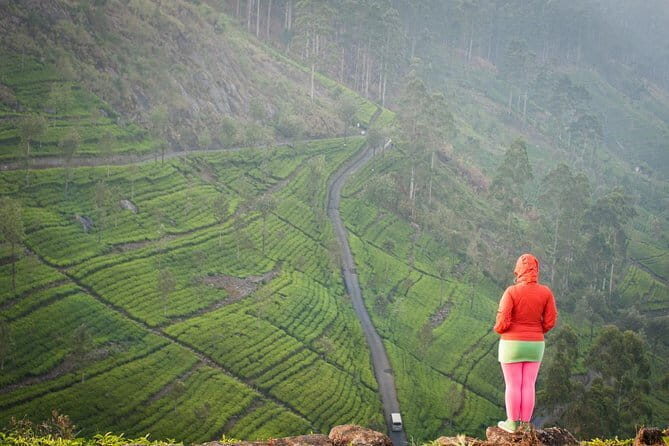 Lipton's Seat and Tea Factory,Trail Amidst Tea Plantation Day Tour - Key Points